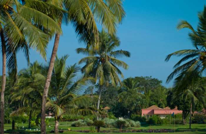 The Ultimate Honeymoon Itinerary for South Goa – Goan Bliss